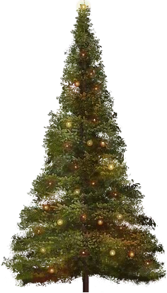 Marvelous Tree | TrainStation Wiki | Fandom