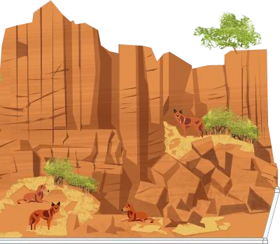 Dingo Cliffs | TrainStation Wiki | Fandom