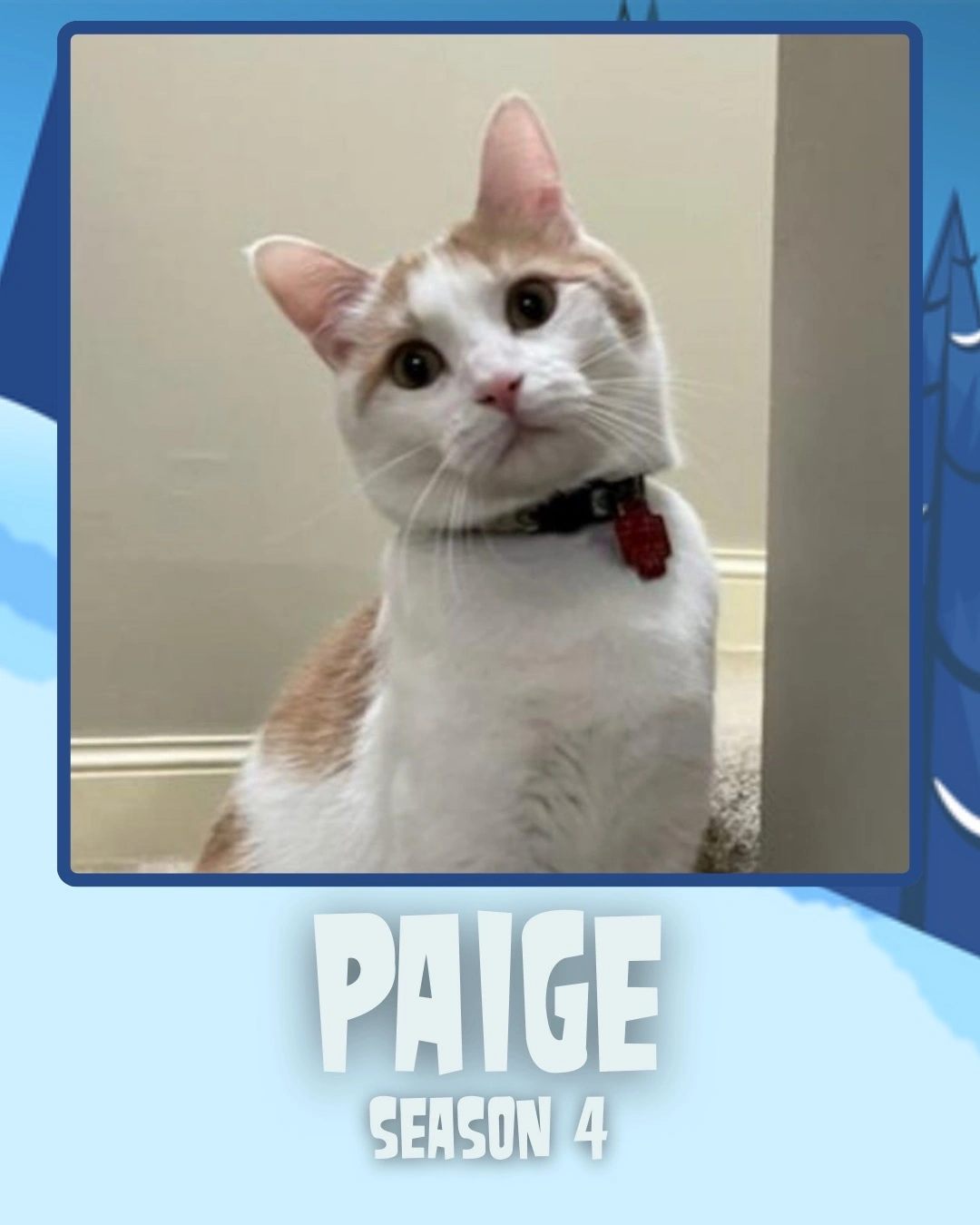 Paige | Traitors in Wawanakwa Wiki | Fandom