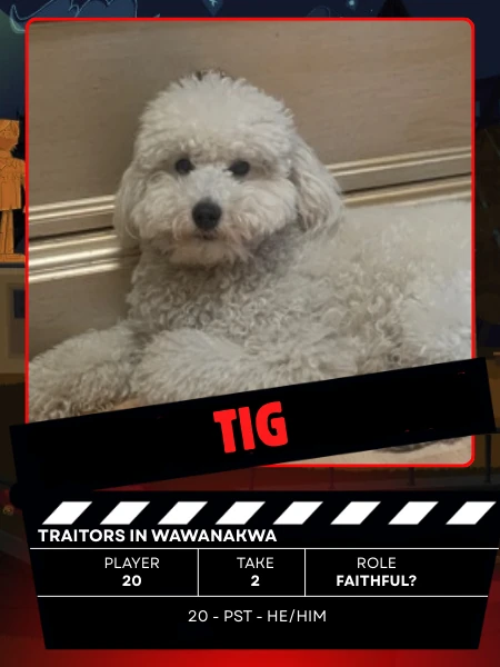 Tig | Traitors in Wawanakwa Wiki | Fandom