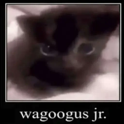 Wagoogus Jr. | Trakinagens Trepidantes Wiki | Fandom