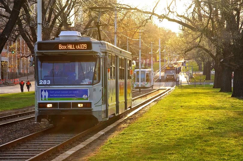Victoria Parade | Tram Wiki | Fandom