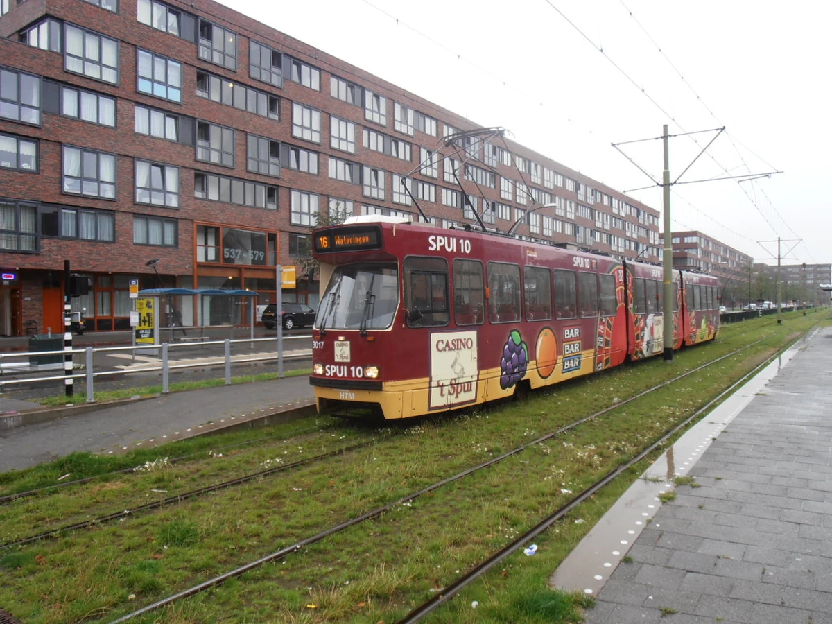 Hoge Veld | Tram Wiki | Fandom
