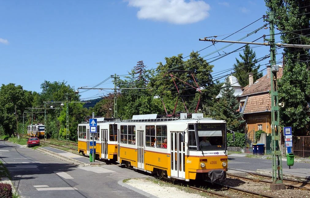 Zuhatag sor | Tram Wiki | Fandom