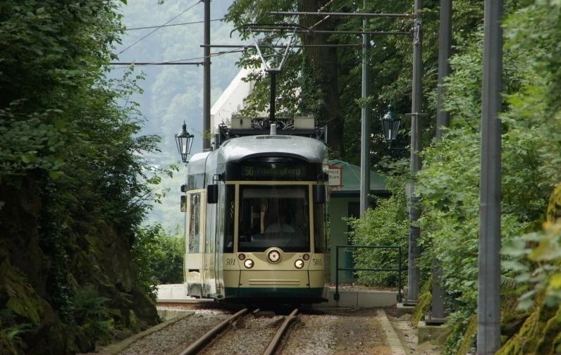 Hoher Damm | Tram Wiki | Fandom