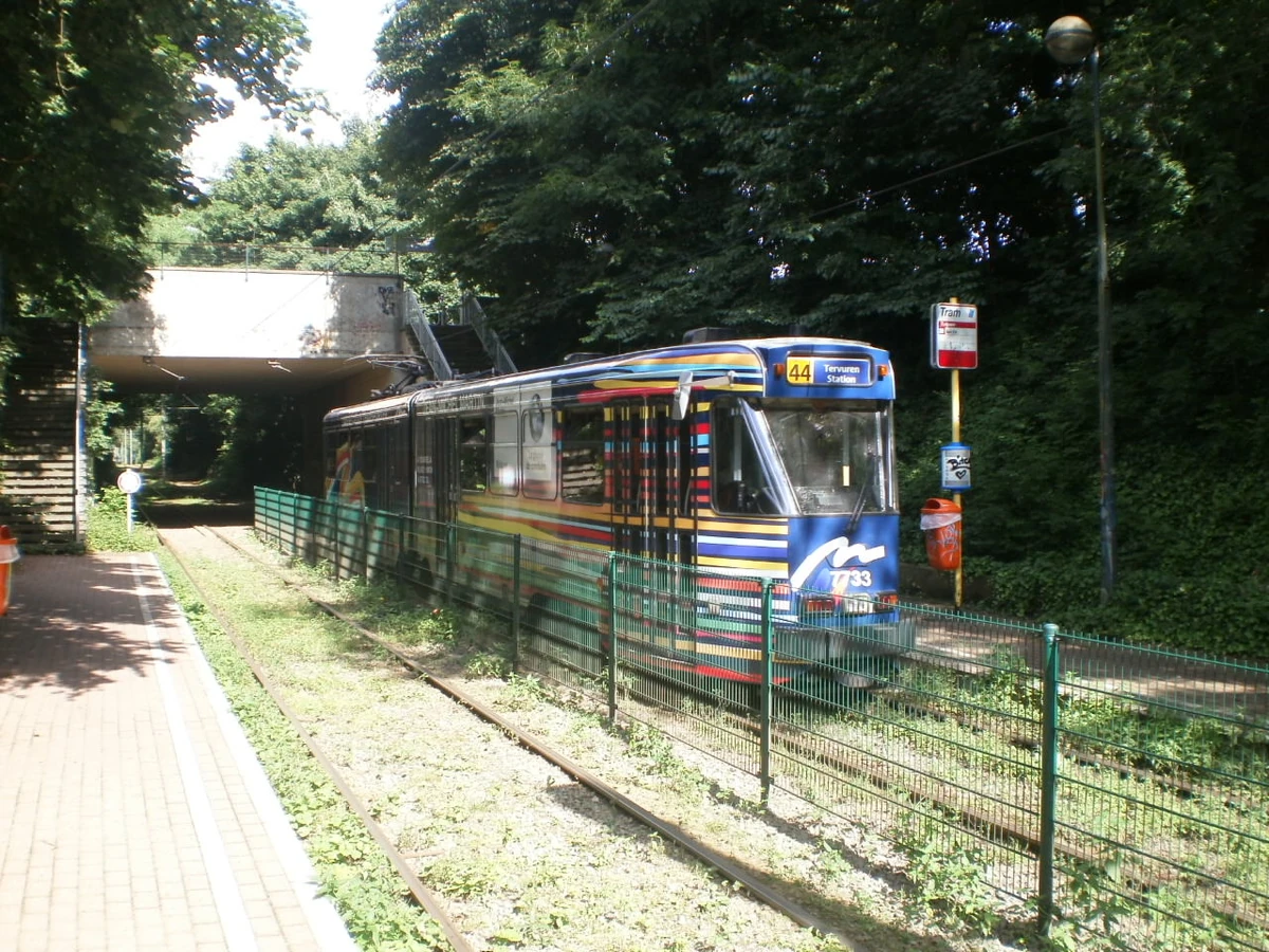 Tulpen | Tram Wiki | Fandom
