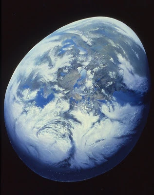 Duckworld | Tranquil Tirades Wiki | Fandom