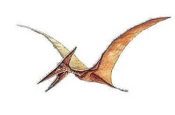 Swoop (Alpha) | Transformers Fanon Wiki | Fandom