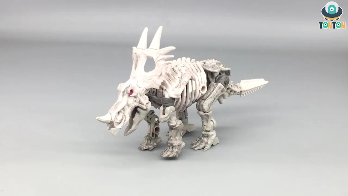 Ractonite (Requiem) | Transformers Fanon Wiki | Fandom