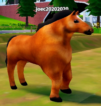 Roblox Player (Horse) | Transformations Wiki | Fandom