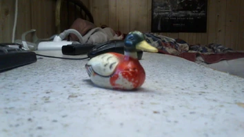 Quackers | Transformers Evolutions Wiki | Fandom