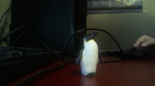 Break | Transformers Generation 7 Reboot Wiki | Fandom