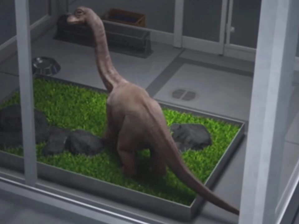 Firecracker | Transformers Heroes World and Fantasy Wind Wiki | Fandom