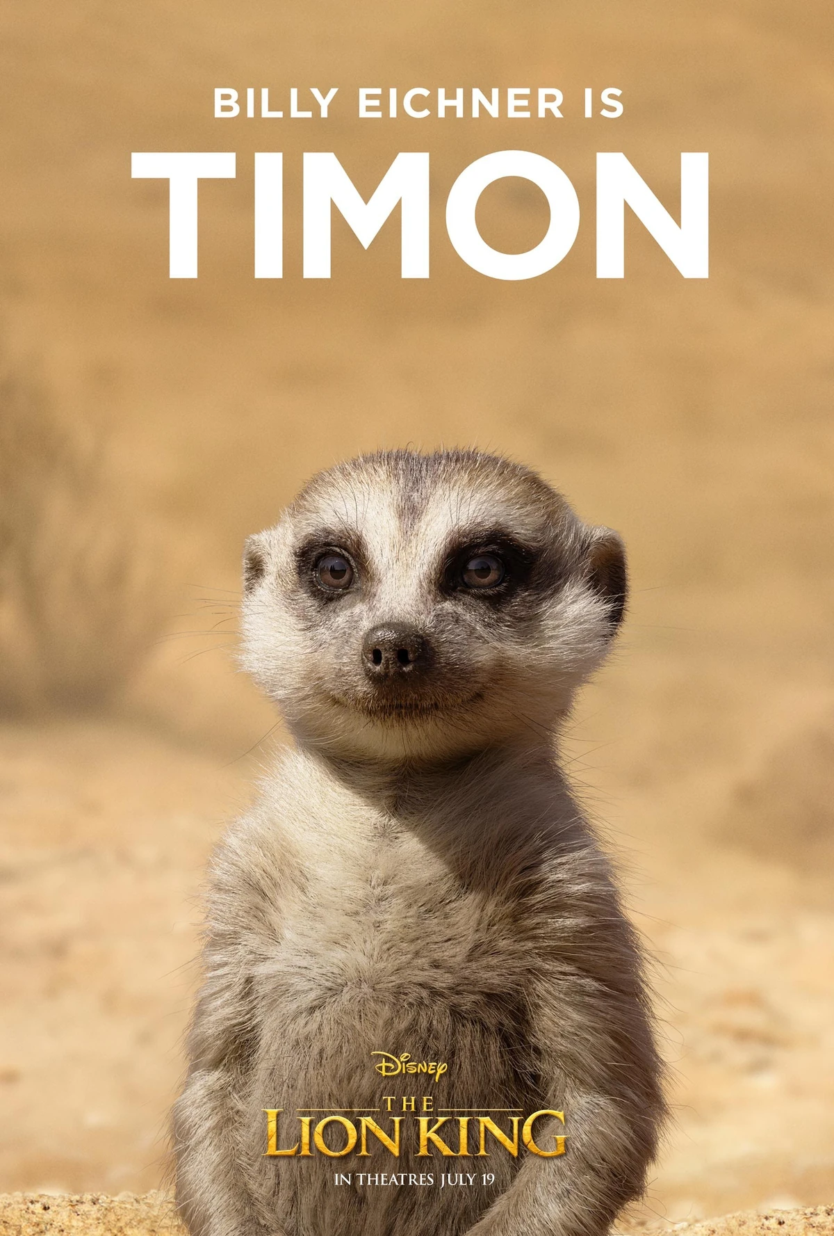 Timon | Transformers Heroes World and Fantasy Wind Wiki | Fandom