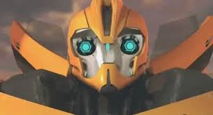 Tfp Bumblebee