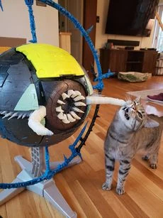 Charlie (cat) | Teletraan I: The Transformers Wiki | Fandom