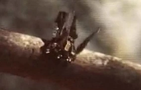 Kickback (Movie) | Transformers Live Action Films Wiki | Fandom