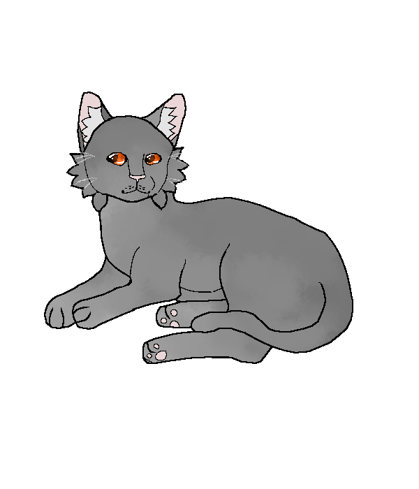 Lisie Oko | Transformice: wojownicy Wiki | Fandom Lisie Oko | Transformice: wojownicy Wiki | Fandom