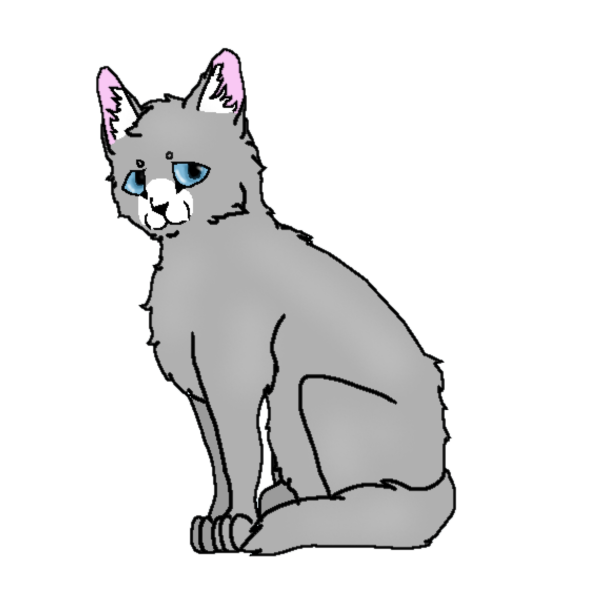 Kamienny Ptak | Transformice: wojownicy Wiki | Fandom Kamienny Ptak | Transformice: wojownicy Wiki | Fandom