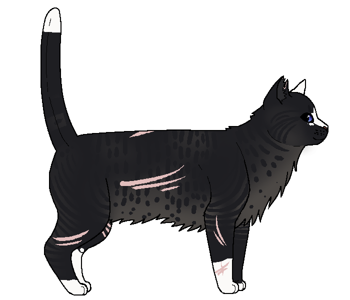 Nocne Serce/Galeria | Transformice: wojownicy Wiki | Fandom Nocne Serce/Galeria | Transformice: wojownicy Wiki | Fandom