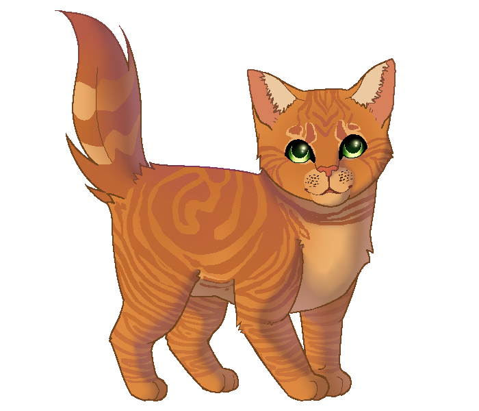 Dynia | Transformice: wojownicy Wiki | Fandom Dynia | Transformice: wojownicy Wiki | Fandom