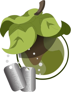 Ninja 2016 | Transformice Wiki | Fandom