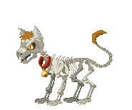 Skeleton cat | Transformice Wiki | Fandom