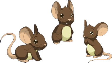 Ratón | Transformice Wiki | Fandom
