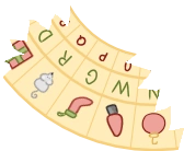 Christmas Chimney 2021 | Transformice Wiki | Fandom