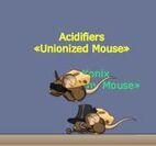 Dance | Transformice Wiki | Fandom