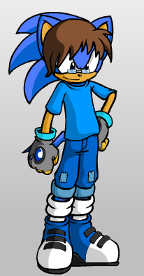 Brandon the Hedgehog | Transformranger Wiki | Fandom