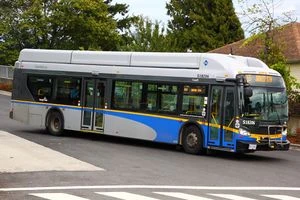 Route 155 | Translink Wiki | Fandom