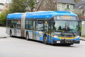 Route 2 | Translink Wiki | Fandom