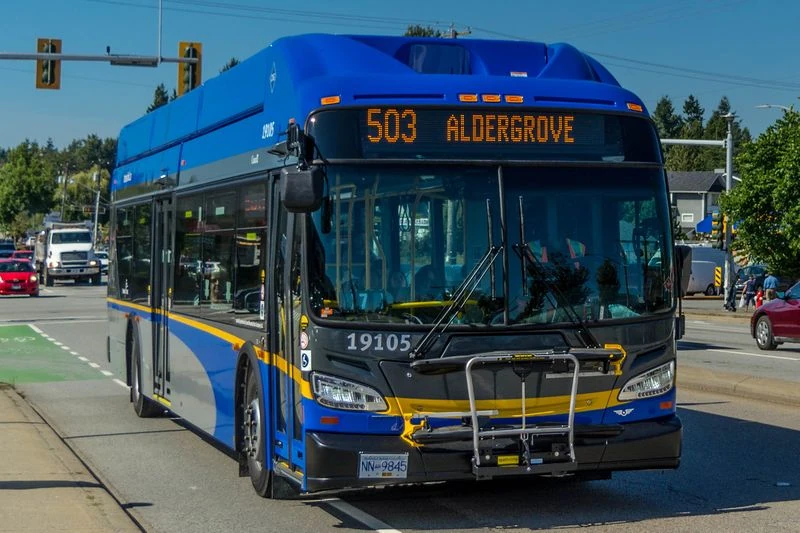 Route 503 | Translink Wiki | Fandom