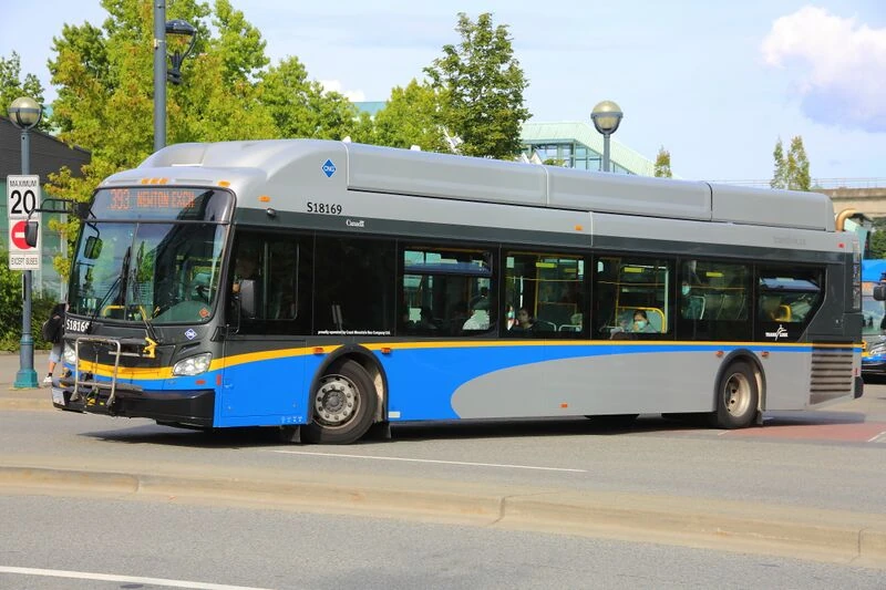 Route 393 | Translink Wiki | Fandom