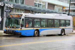 Route 80 | Translink Wiki | Fandom