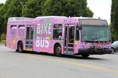 Route 900 | Translink Wiki | Fandom