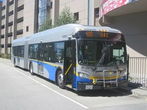 Route 480 | Translink Wiki | Fandom