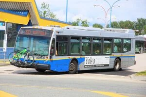 Route 310 | Translink Wiki | Fandom