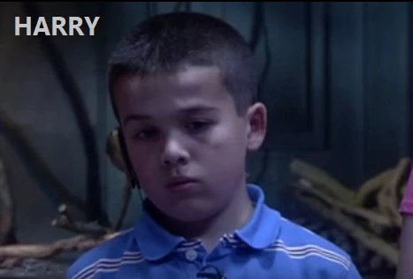 Harry (Series 4, Episode 6: Bootle) | Trapped! (game show) Wiki | Fandom