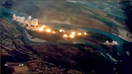 The Random Chimp Event | Trash Mammal Wiki | Fandom