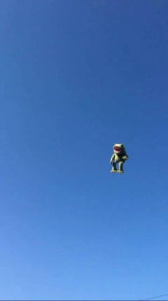 Frog | Club Penguin Shutdown RP7 Wiki | Fandom