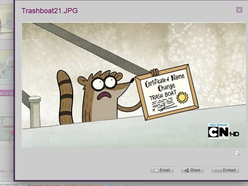 Trash boat regular show store