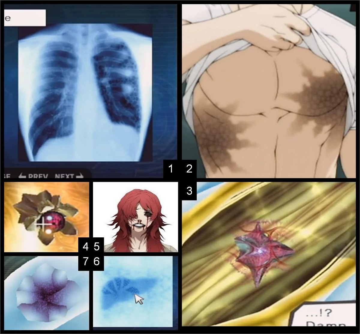 Category:Diseases | Caduceus Database | Fandom