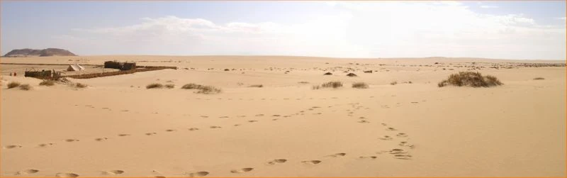 Siwa | Travel Wiki | Fandom