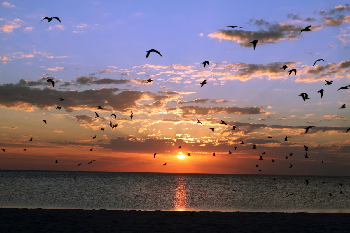 Gulf Coast | Travel Wiki | Fandom