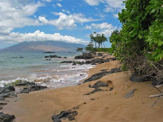 Hawaii | Travel Wiki | Fandom