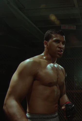 Fighter | Travelers Wiki | Fandom