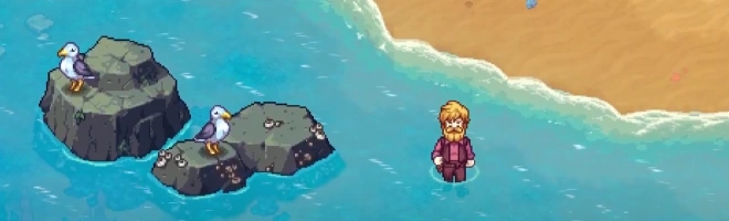 Beach | Travellers Rest Wiki | Fandom