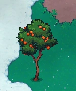 Orange Sprout | Travellers Rest Wiki | Fandom